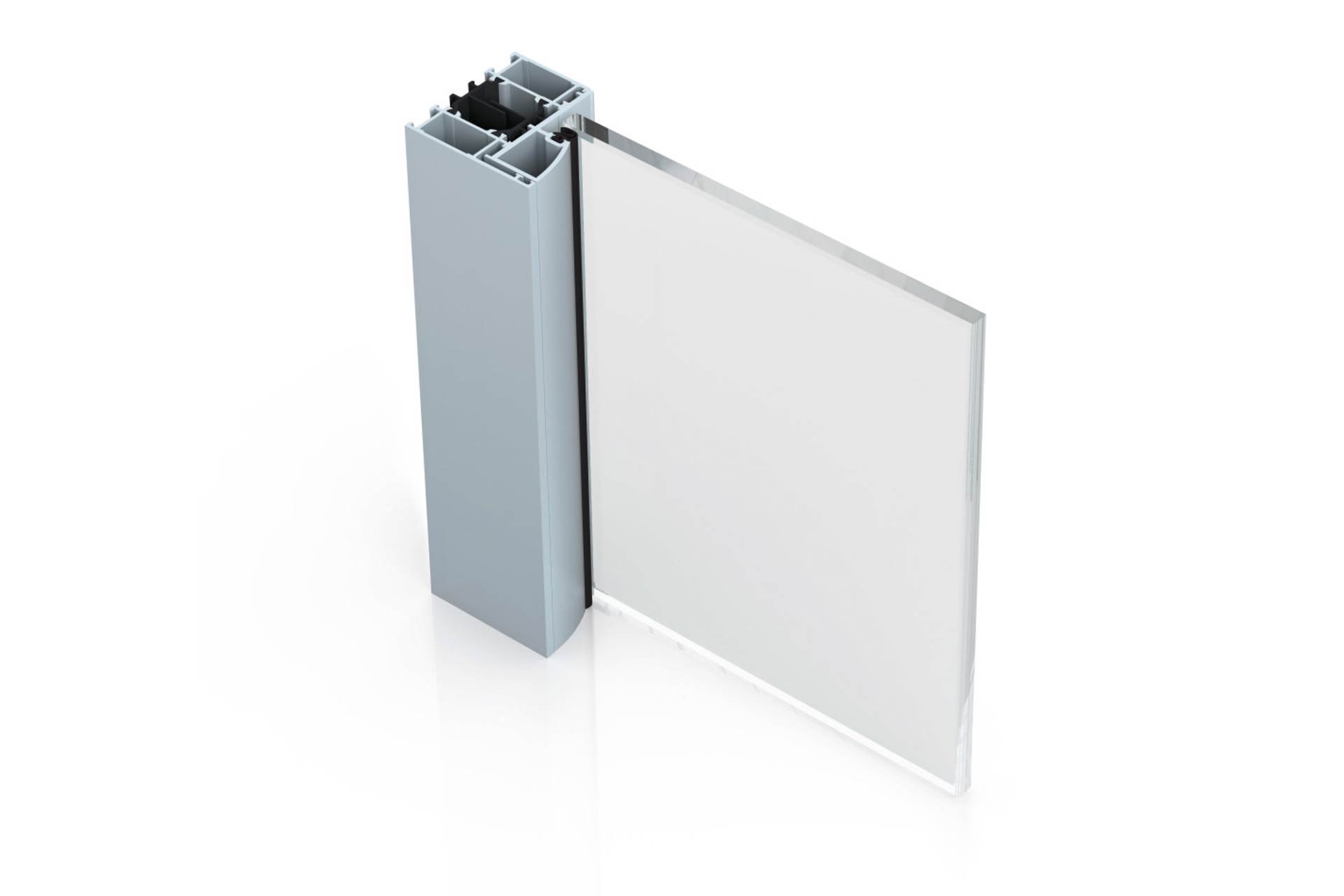 WICSTYLE 65 evo I Aluminium Ganzglastüre